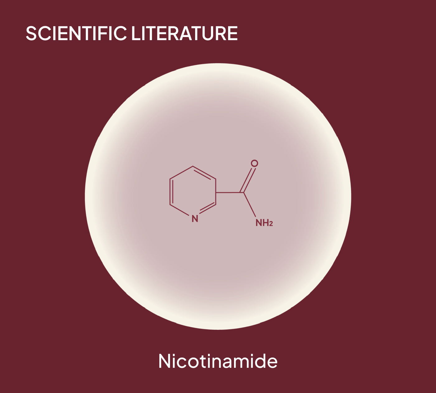 What Is Nicotinamide: Understanding The Science | Mimio Health