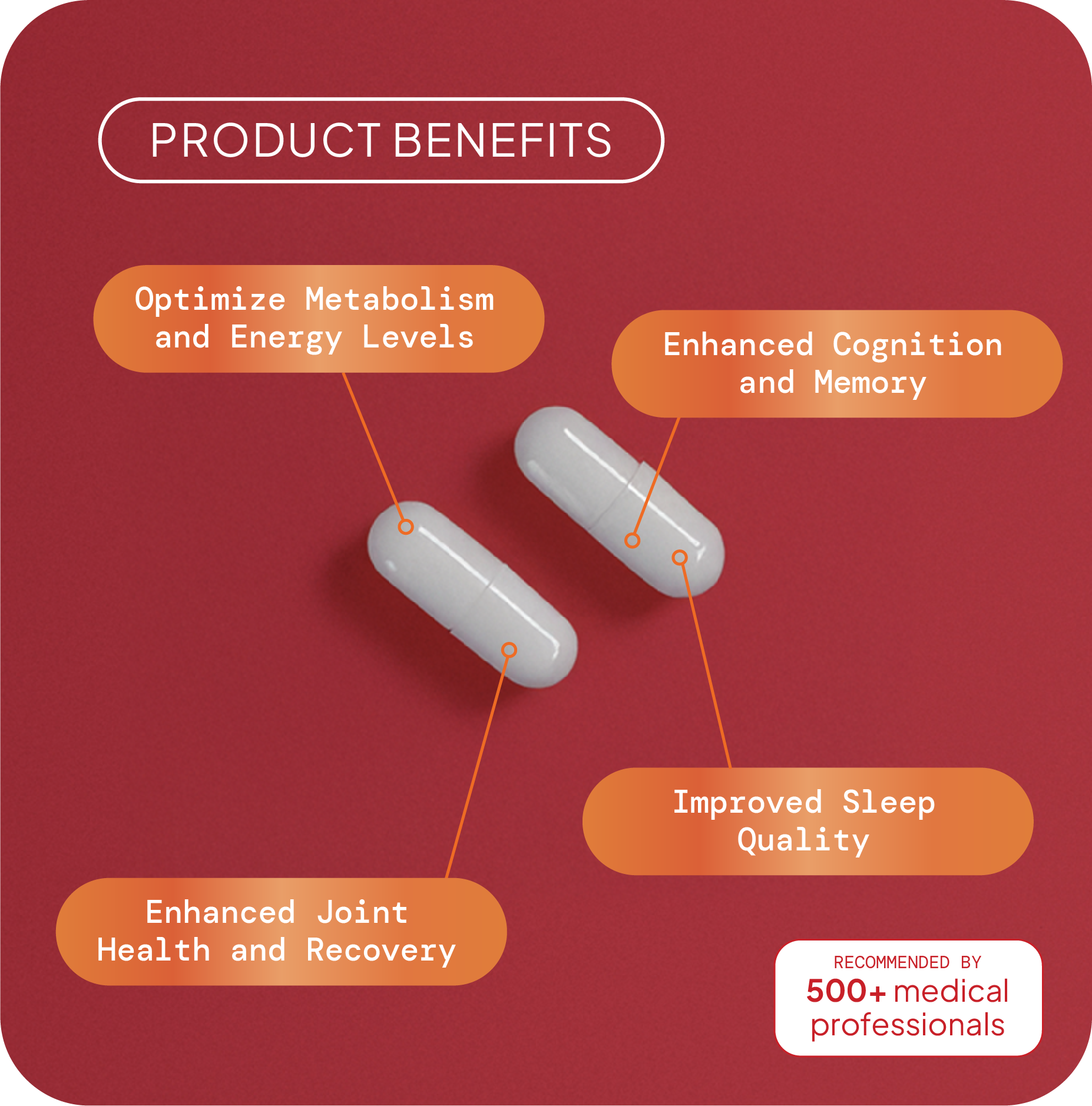 Personalizing Your Fasting Protocol With Glucose and Ketones