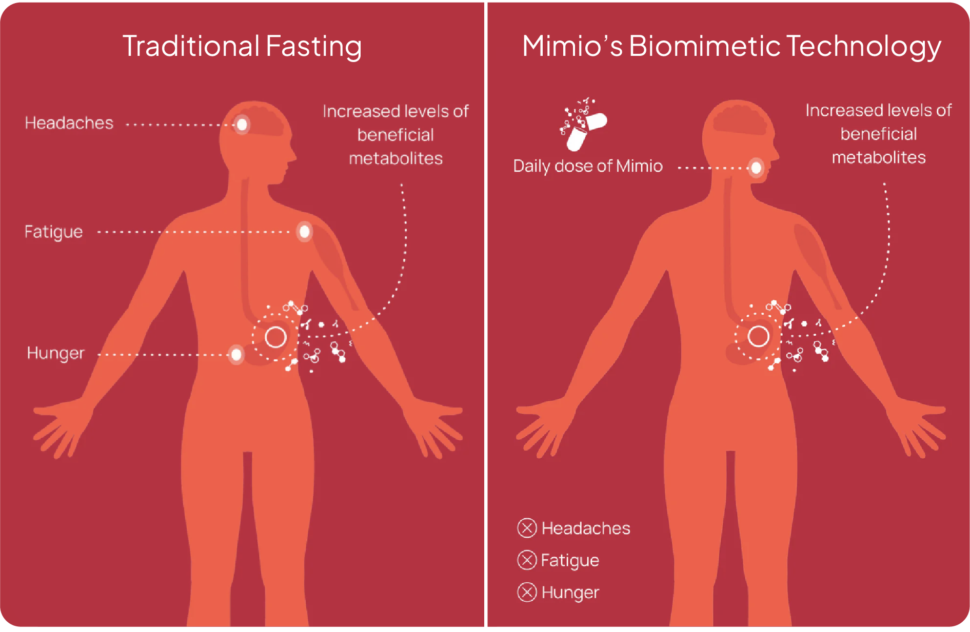 Defining A Mimetic and What It Means for Your Health