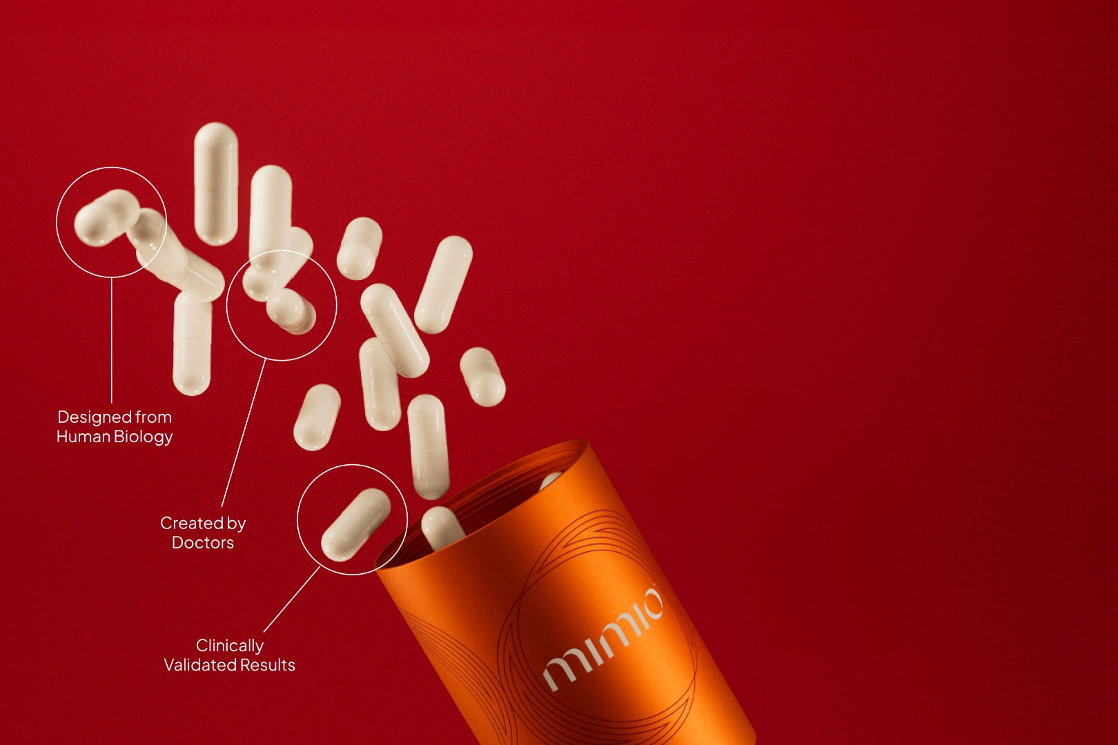 Metformin + Rapamycin: Can the Combo Boost Longevity?