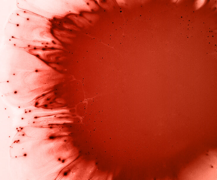 Biomimetic Cell Care | Healthspan Supplement | Mimio Health